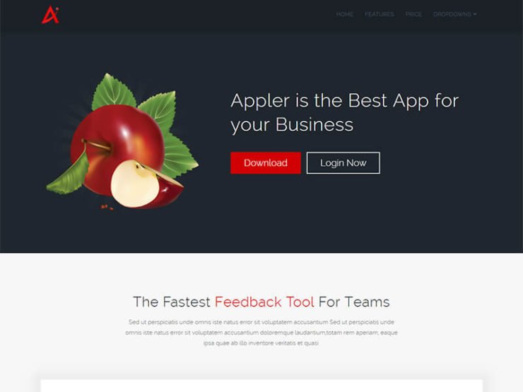 Appler - Creative App & Landing Template